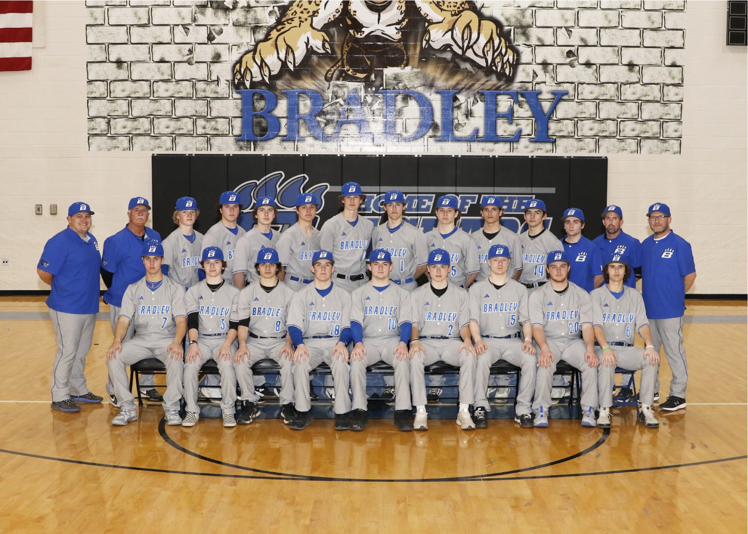 Bradley Baseball – Bradley & Memorial Athletics